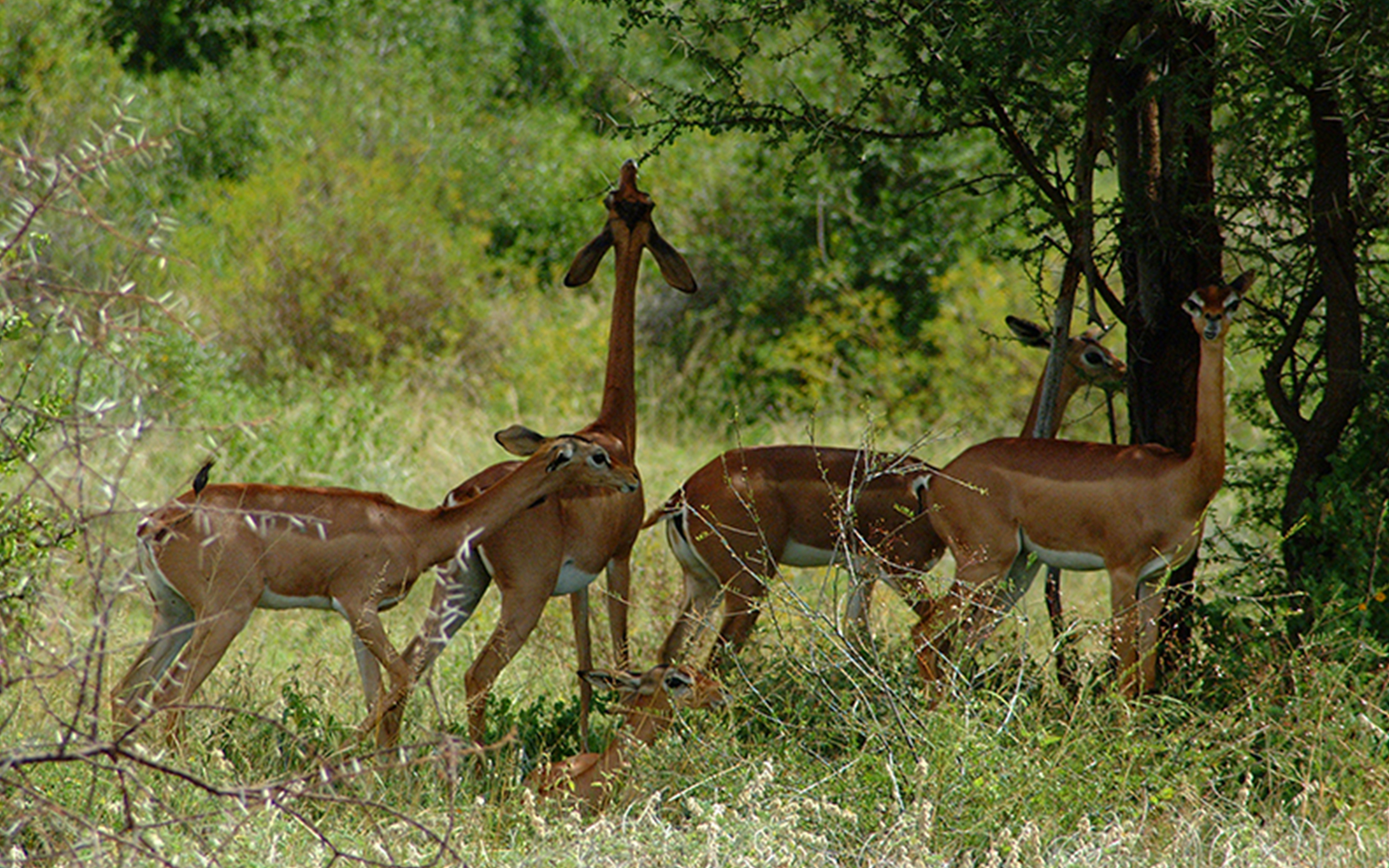 Land | FIU Institute of Environment